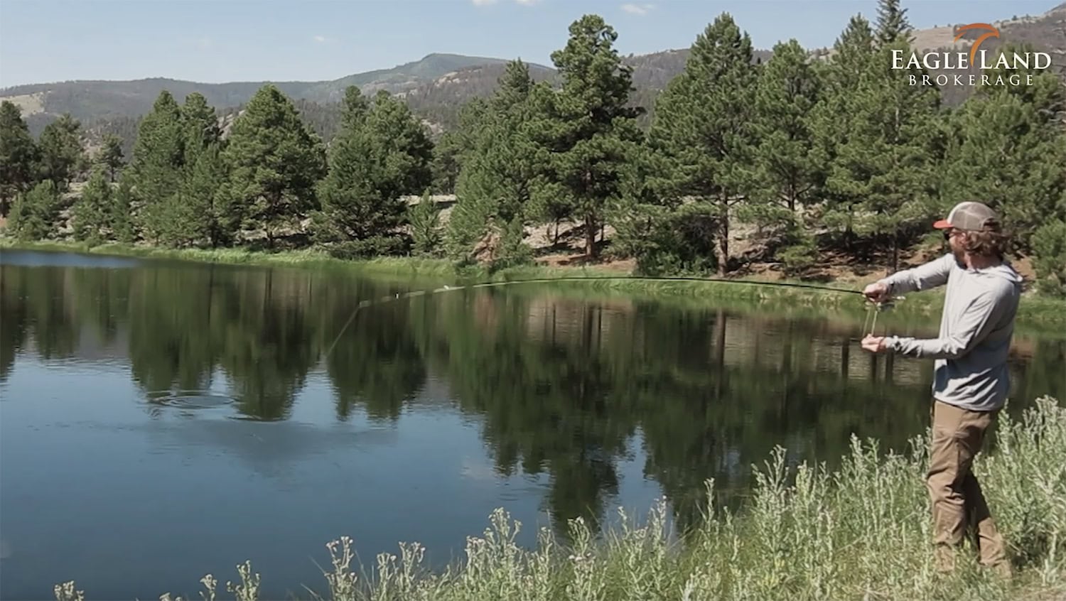 Fishing the Lake Fork River Ranch for wild Cutthroat Trout with Dry ...